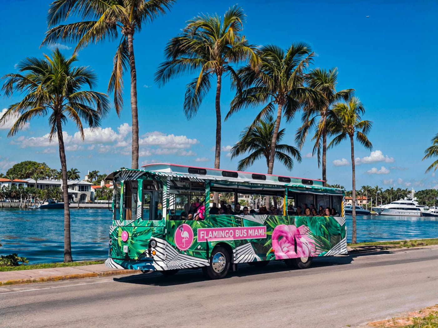 Flamingo Bus Tour Miami | Voted 2024 Best Tour Bus Miami Beach