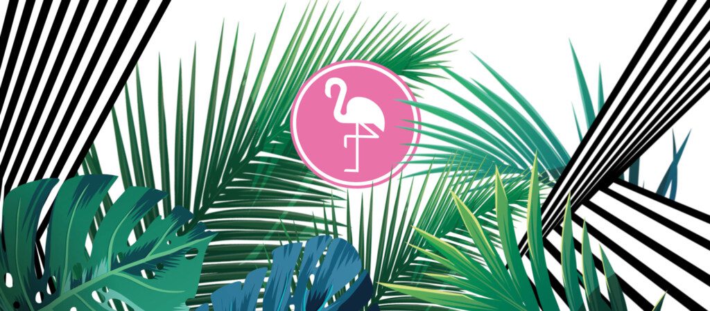 Best Tour Bus Miami Beach Wynwood - Flamingo Bus Miami