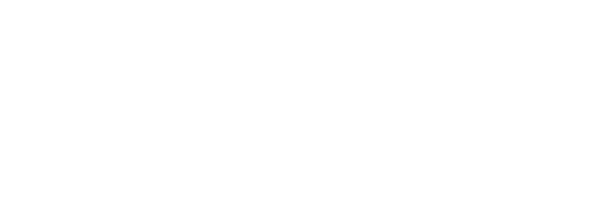 Flamingo Bus Tour Miami | Voted 2024 Best Tour Bus Miami Beach